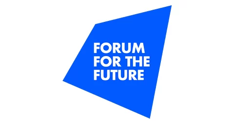 Managing Director, Americas – Houston Foresight